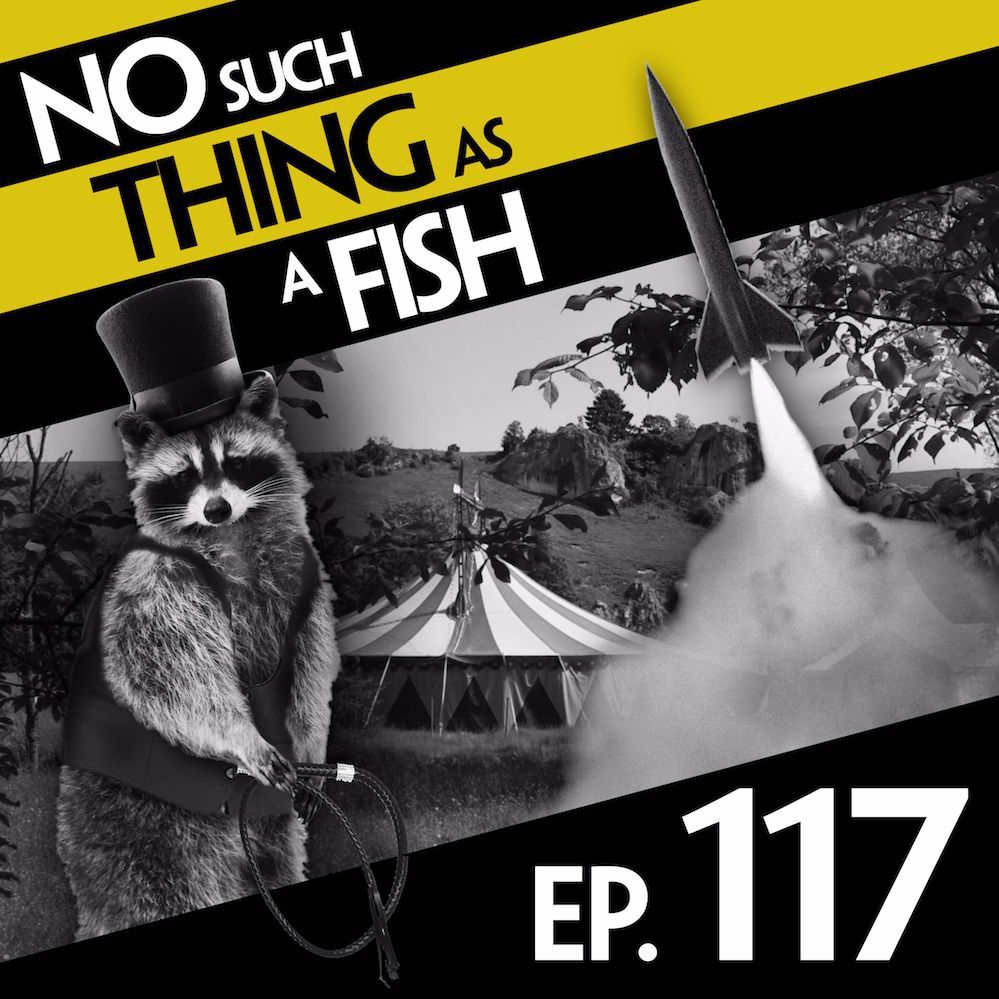 No Such Thing As A Fish / No Such Thing As Dr No Teeth