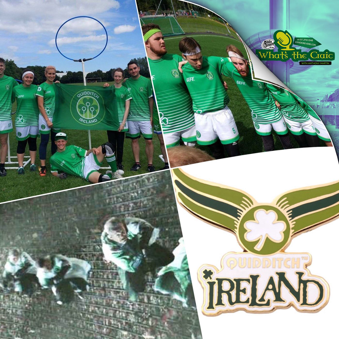 Harry Potter Quidditch Team