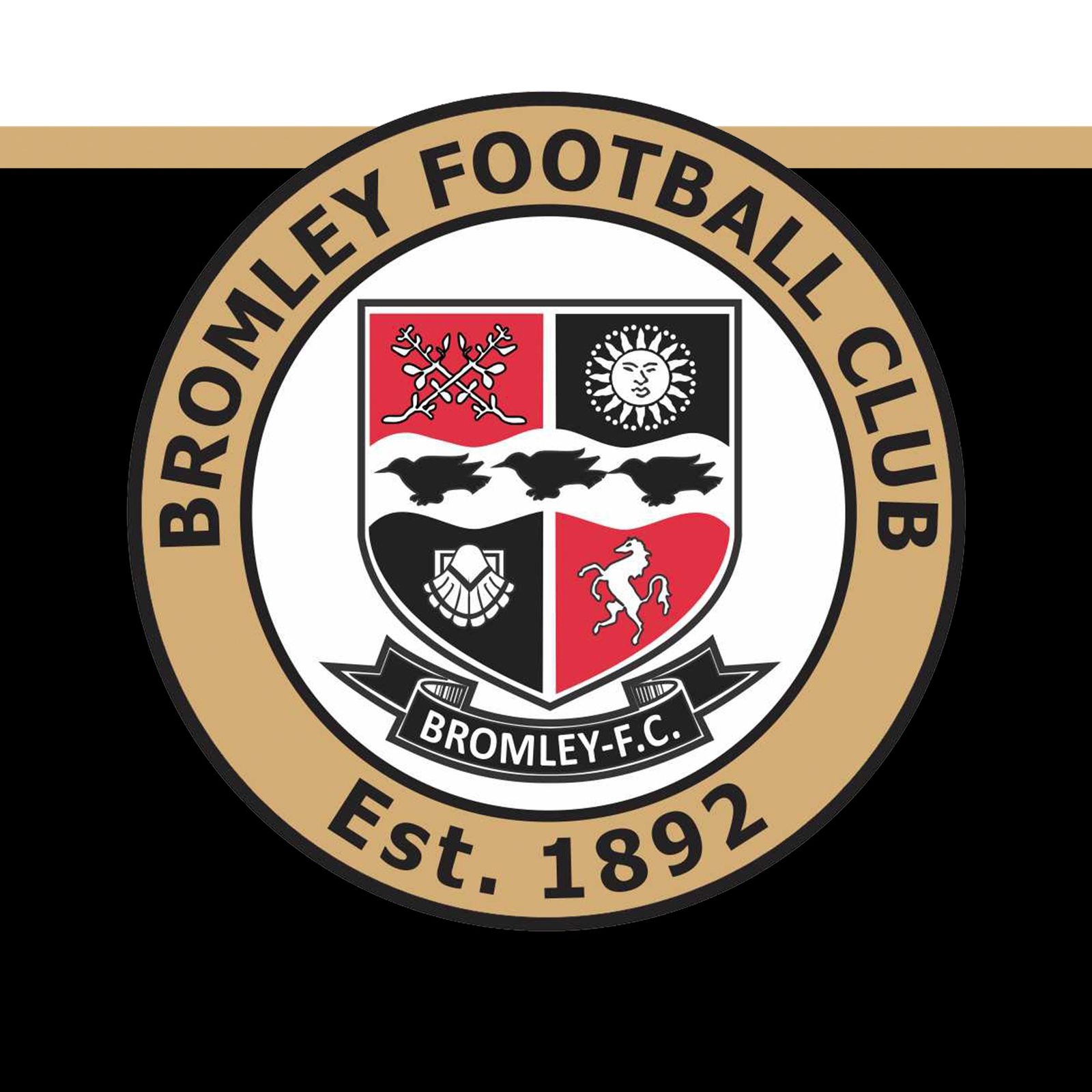 ‘Ravens Weekly’ Bromley FC Official Podcast / Ep 3 - Ultimate Bromley 5 ...