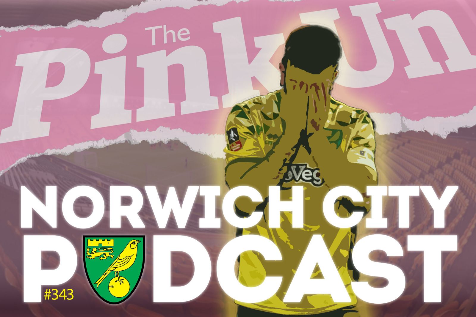 The PinkUn Norwich City Podcast / #343 Brief encounters of the 3rd ...