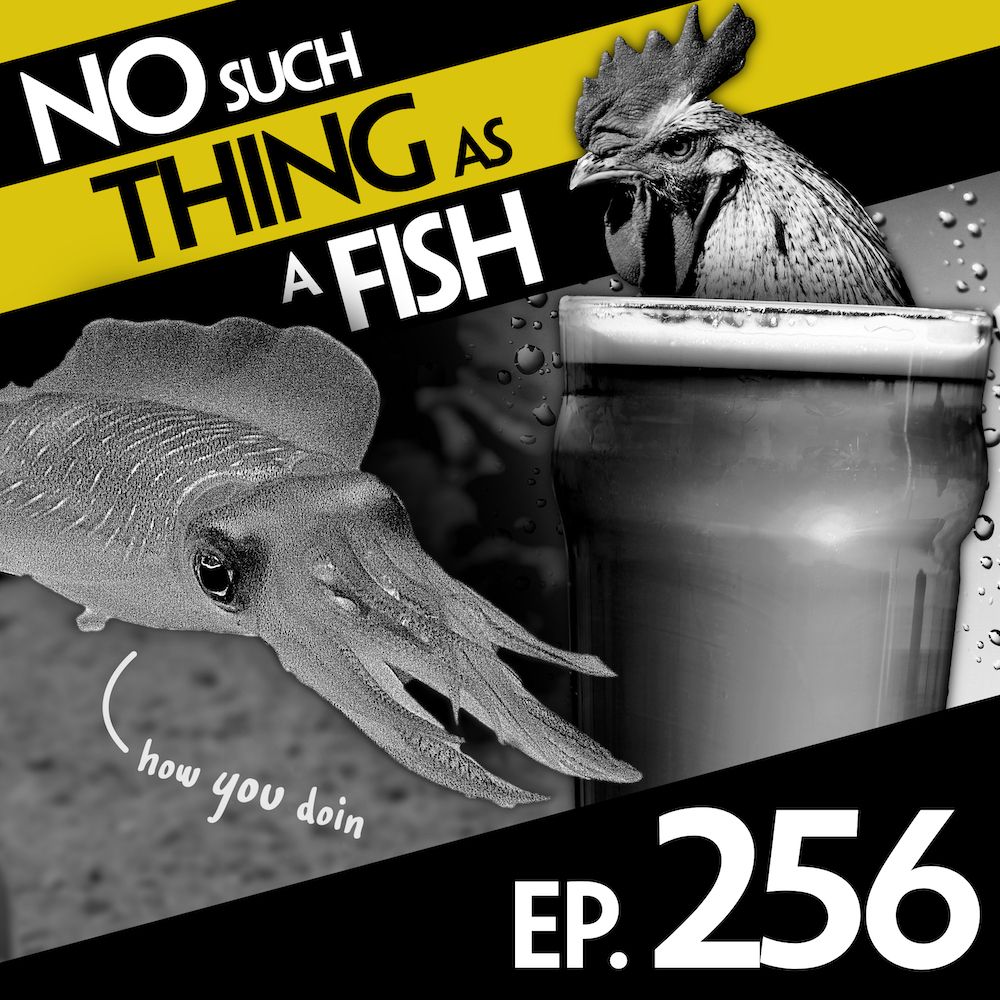 No Such Thing As A Fish / No Such Thing As A Puddle Photographer