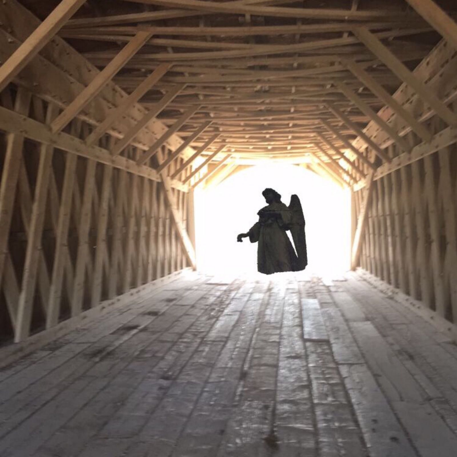 Paranormal Prowlers Podcast / Snippy the Horse. Fifty Three Years Later.