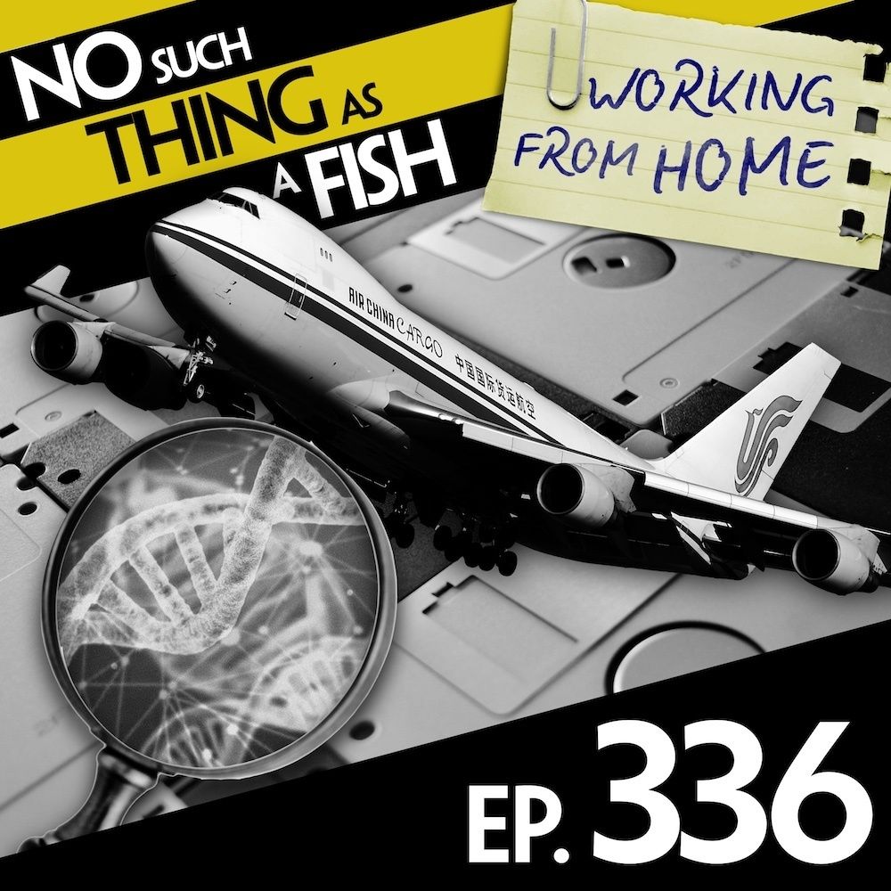 No Such Thing As A Fish / No Such Thing As A Delicious Emergency Salad