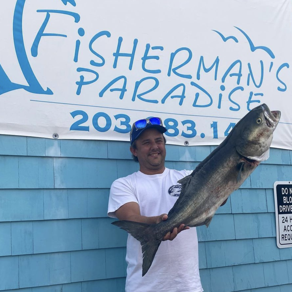 WICC 600 AM and 107.3 FM / Melissa in the Morning: The Jimmy McGrath ...