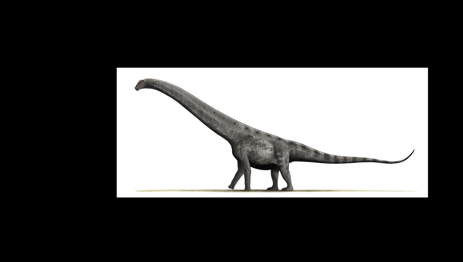 The John Batchelor Show / How to walk the Dinosaur Highway of the Andes ...