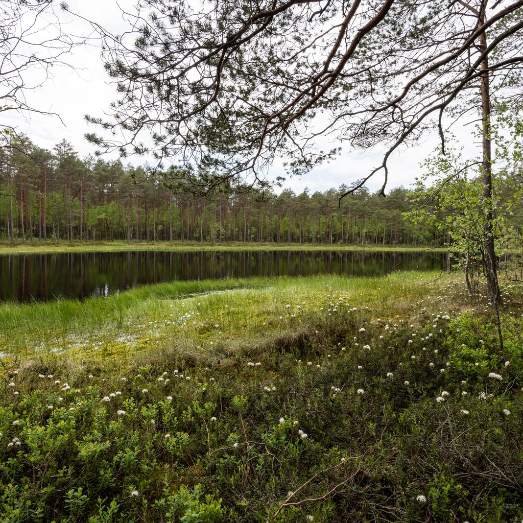 WICC 600 AM and 107.3 FM / Melissa in the Morning: A Deep Dive into CTE