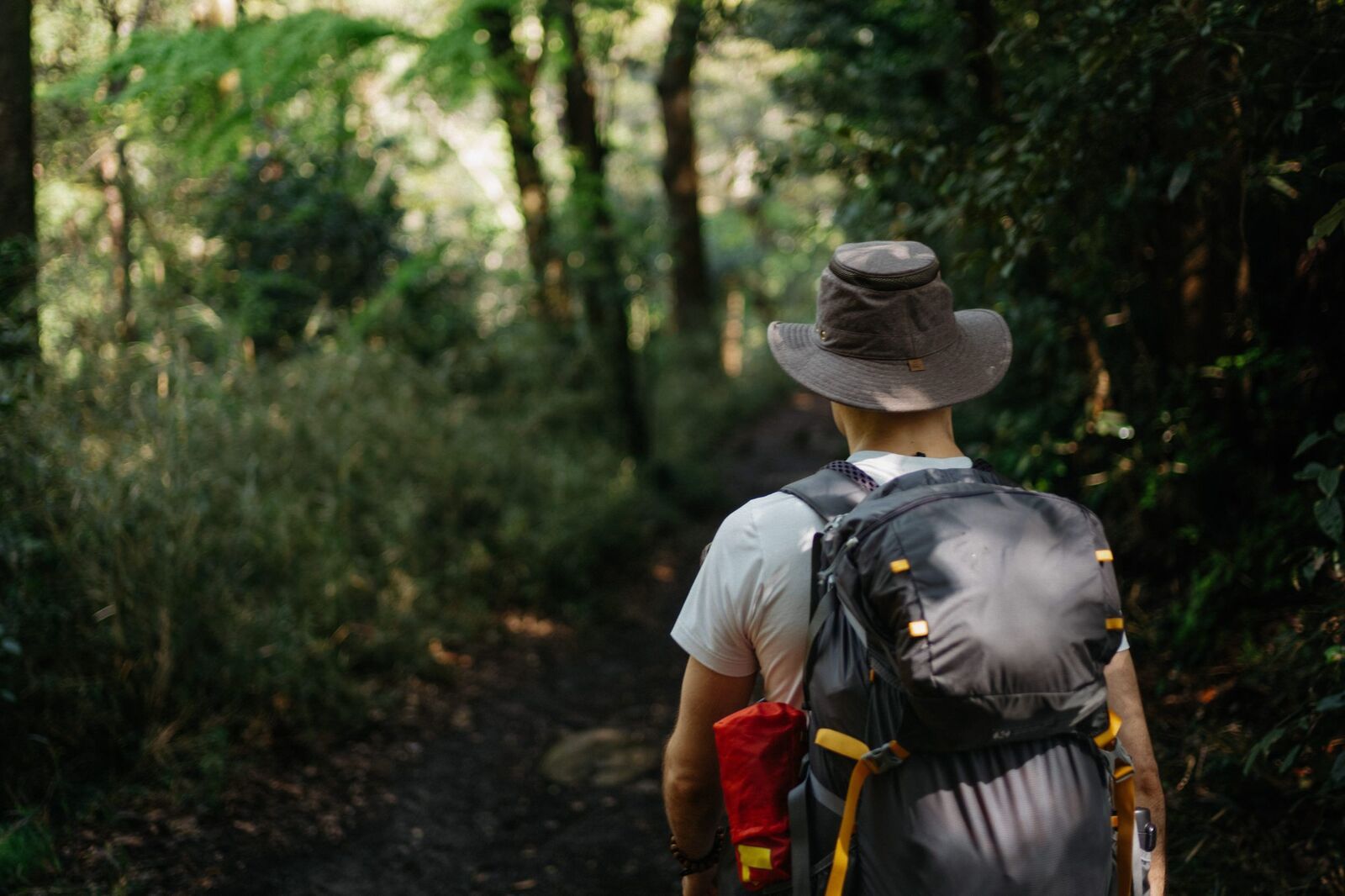 Deep Dive from The Japan Times / The sublime boredom of walking Japan w ...