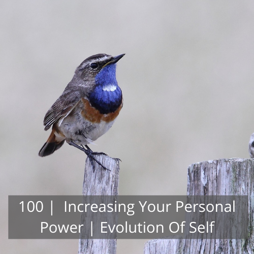 Evolution Of Self / 100 | Increasing Your Personal Power | Evolution Of ...