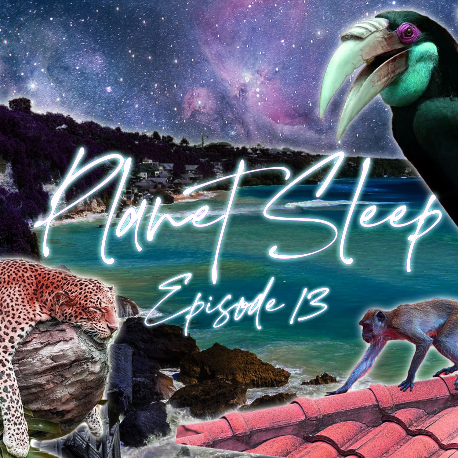 14: A Sleepy Stroll Through Bali – Planet Sleep: Relaxing Nature ...