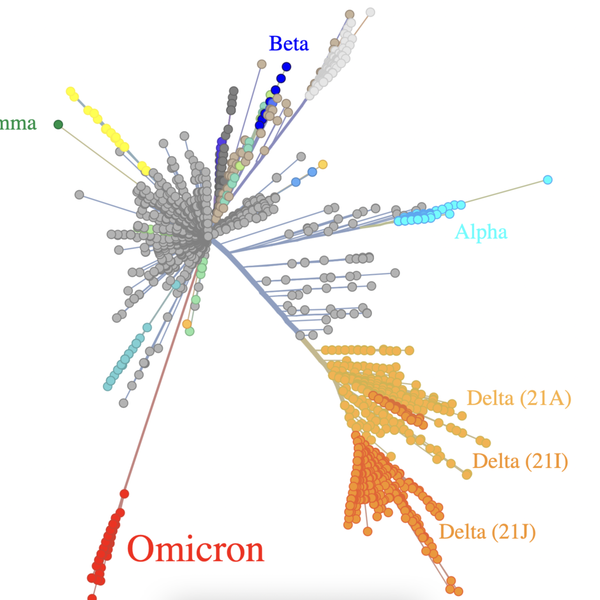 The John Batchelor Show / Omicron variants and the New Normal. Dr Henry ...