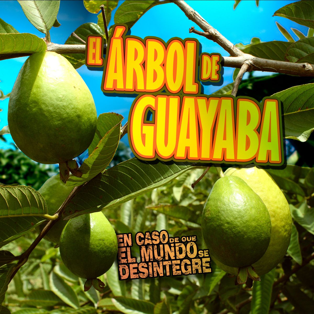 Guayaba Arbol