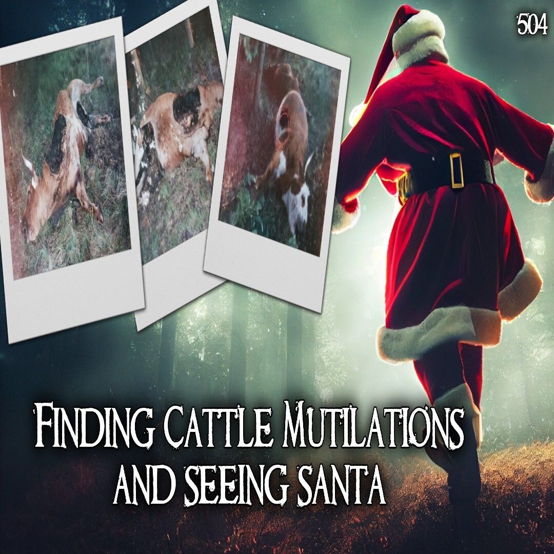 The Confessionals / 504: Finding Cattle Mutilations and Seeing Santa