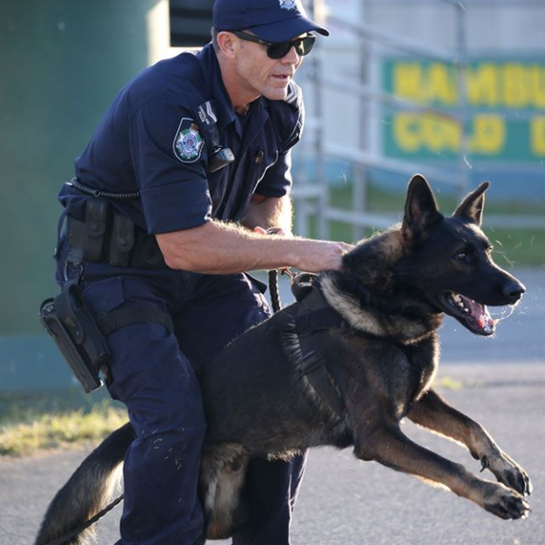 Mornings with John Mackenzie / John MacKenzie chats with Sergeant Dave ...