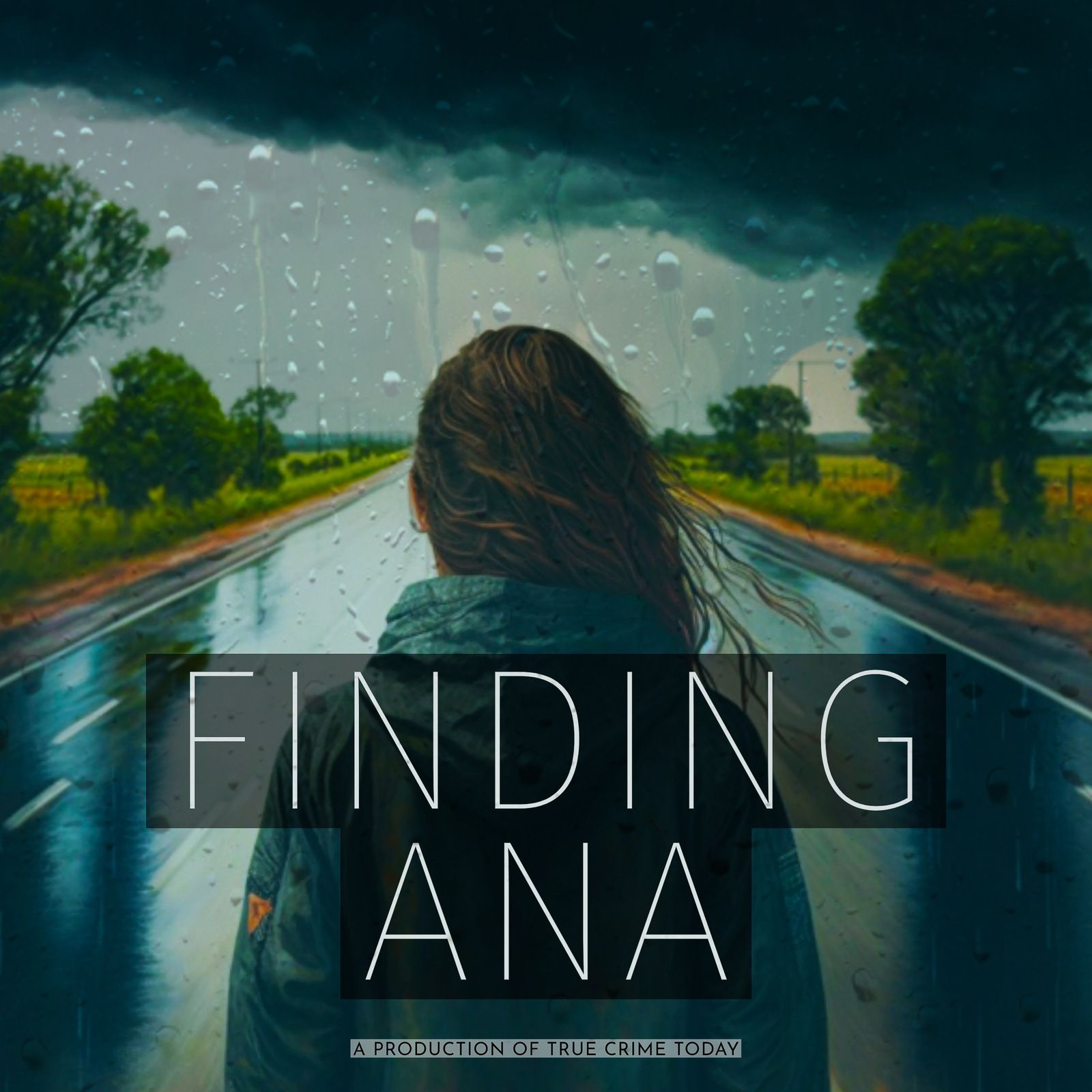 Finding Ana | This Disappearance of Ana Walshe / Forensic Scientist ...