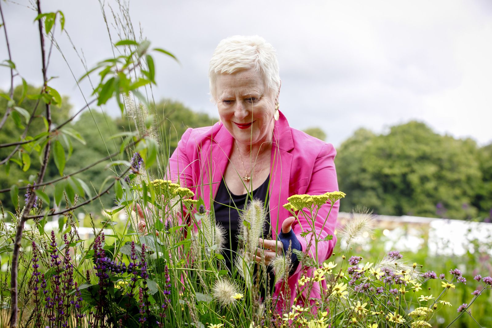 RNIB Connect / Seeing Through The Senses Multi-Sensory Garden Border at RHS Flower Show, Tatton Park
