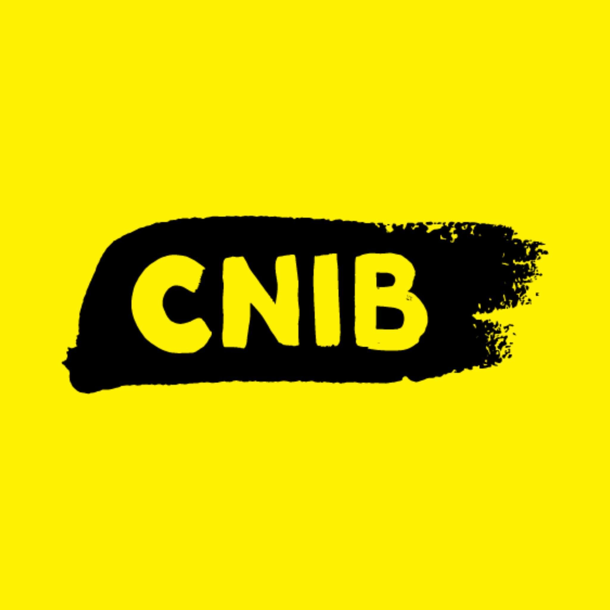 RNIB Connect / A Look Back At 2023 With CNIB CEO