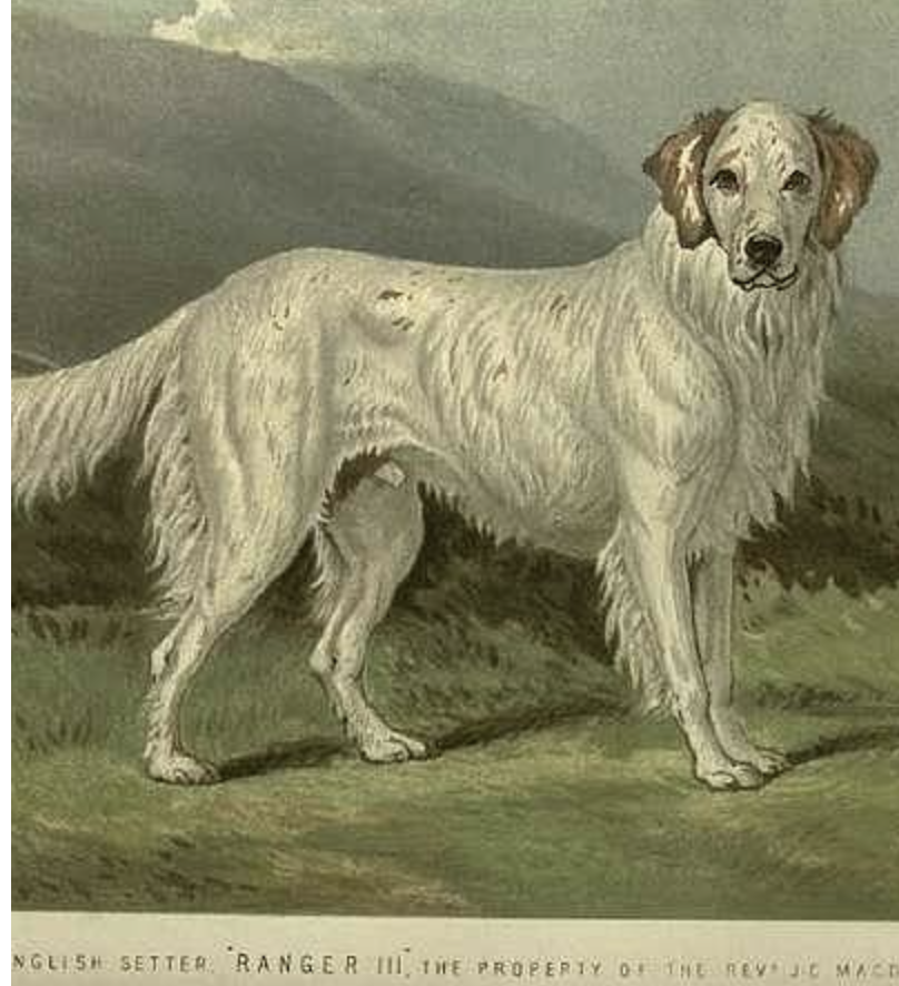 The John Batchelor Show / HOMO SAPIENS & THE CONTINENT: 2/8: Wild New ...