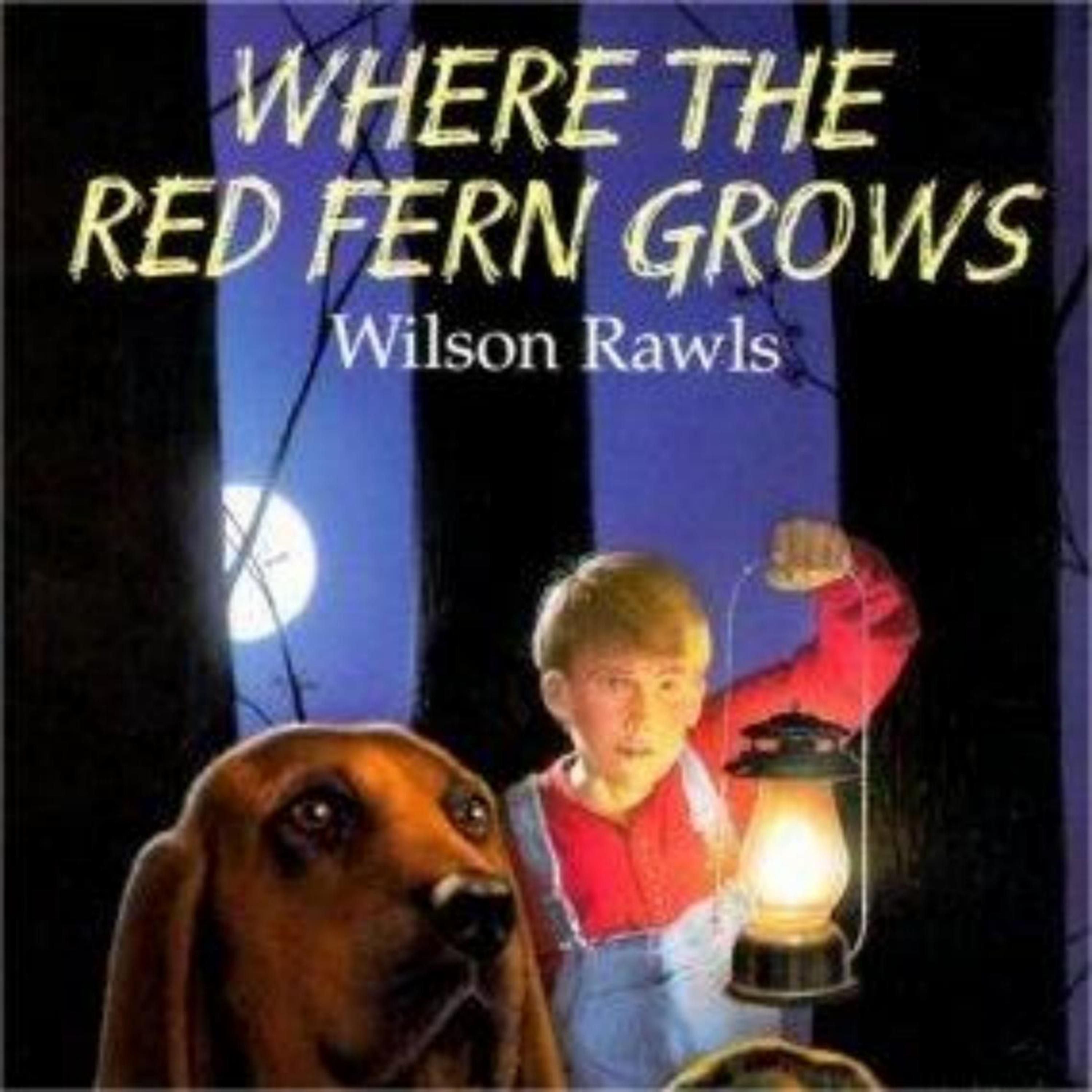 Where the Red Fern Grows: A Heartfelt Tale Summarized – Bookey En(Book ...