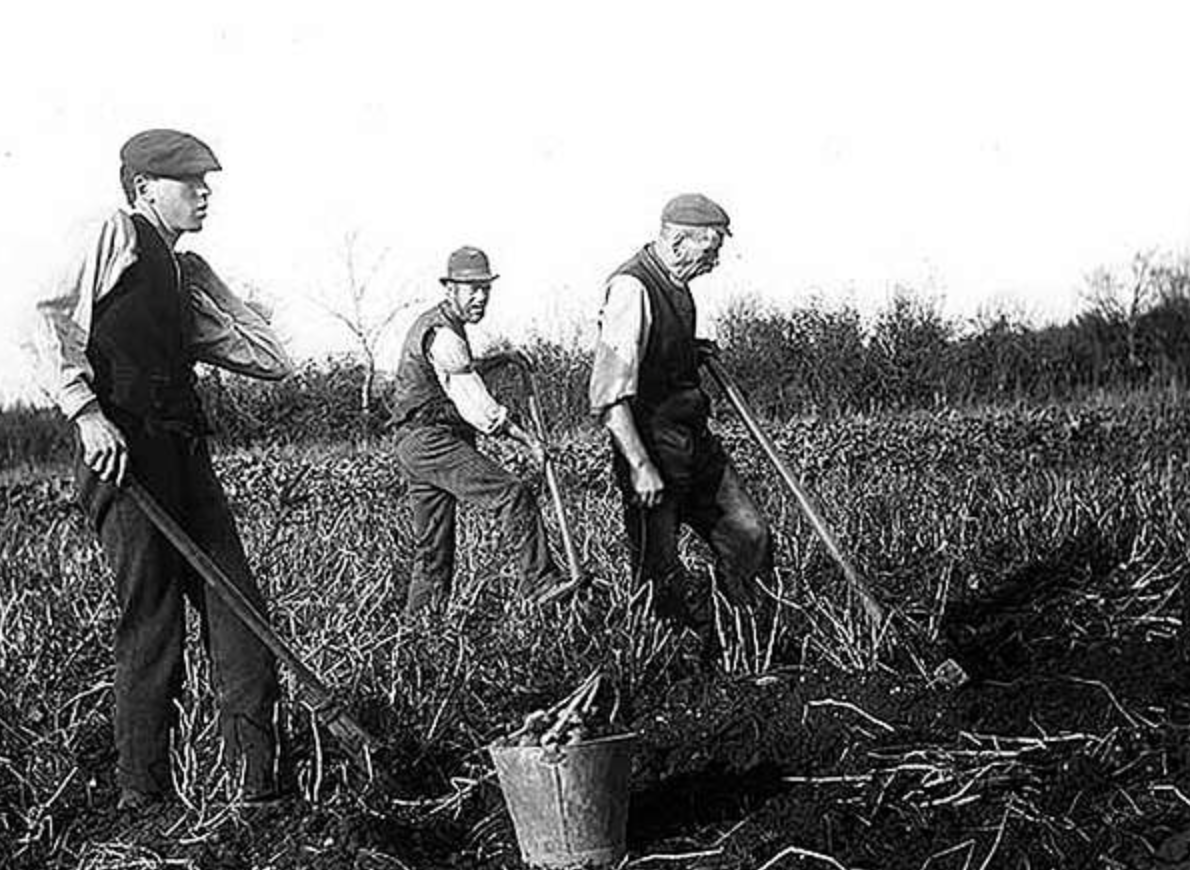 The John Batchelor Show / MIGRANT VICTORY: 7/8: Plentiful Country: The ...