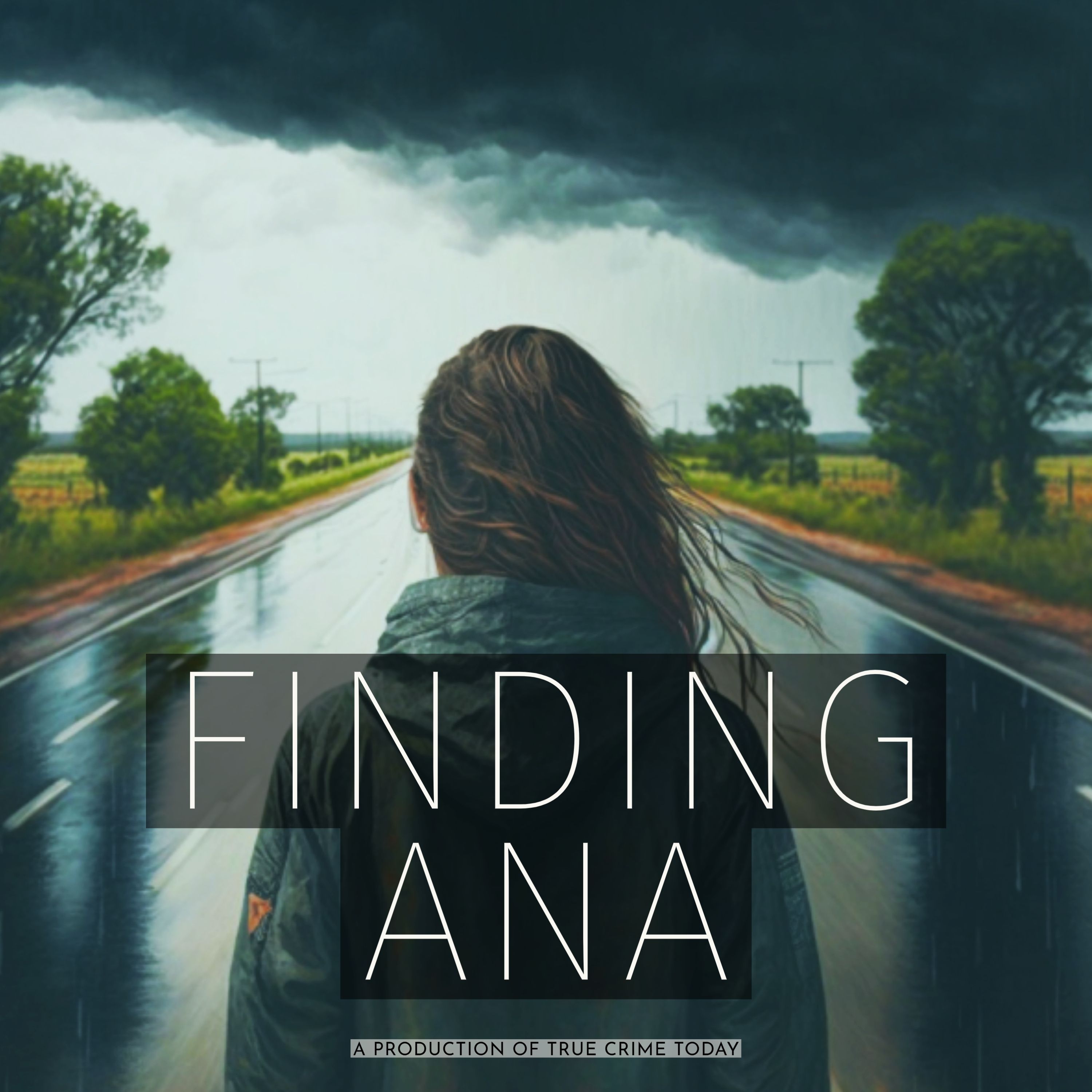 Finding Ana: The Trial Of Brian Walshe | The Murder Of Ana Walshe ...