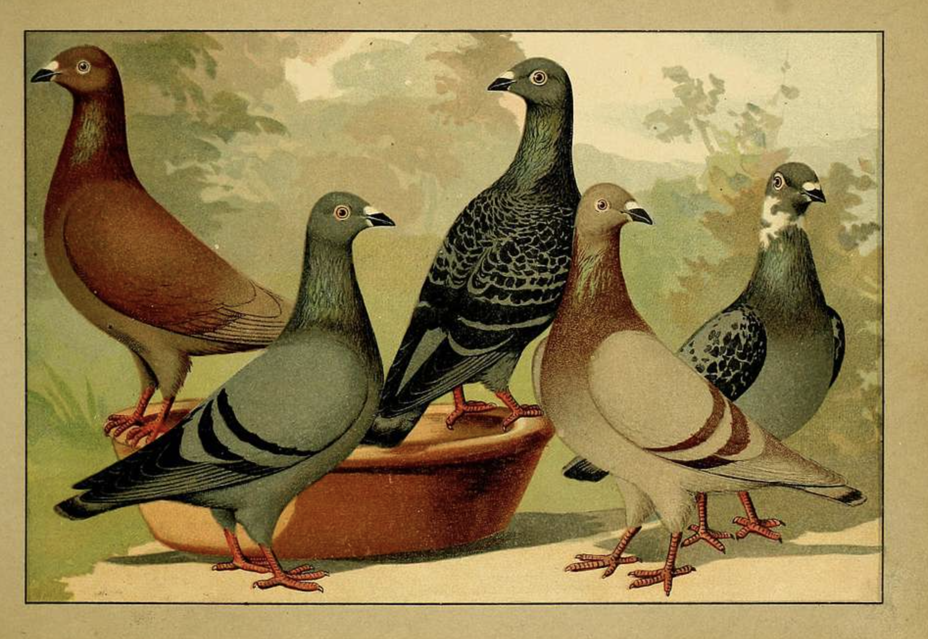 The John Batchelor Show / NORTH AMERICAN WILD KINGDOMS AWAKENING NOW: 3 ...