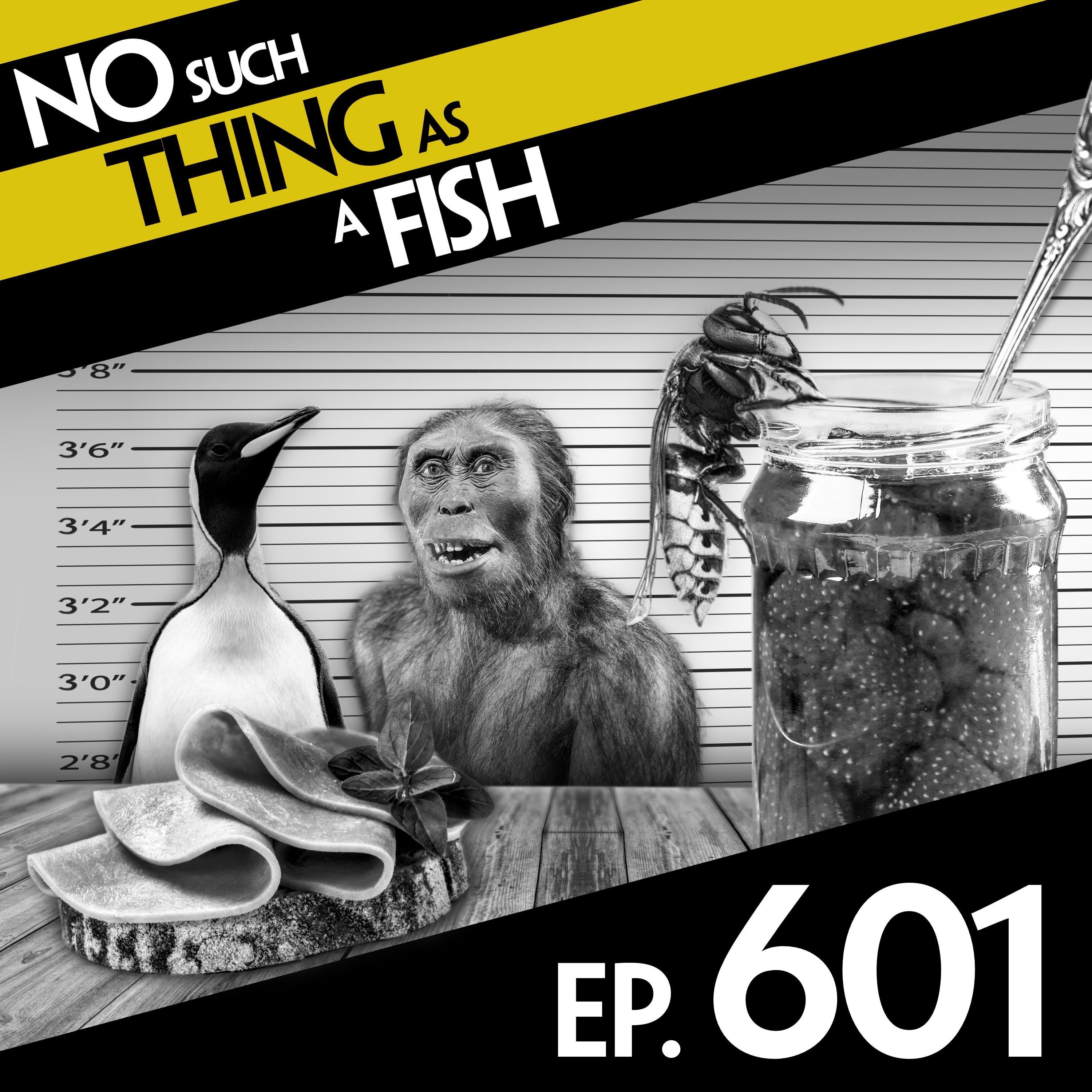 No Such Thing As A Fish / No Such Thing As Sausage By Chanel