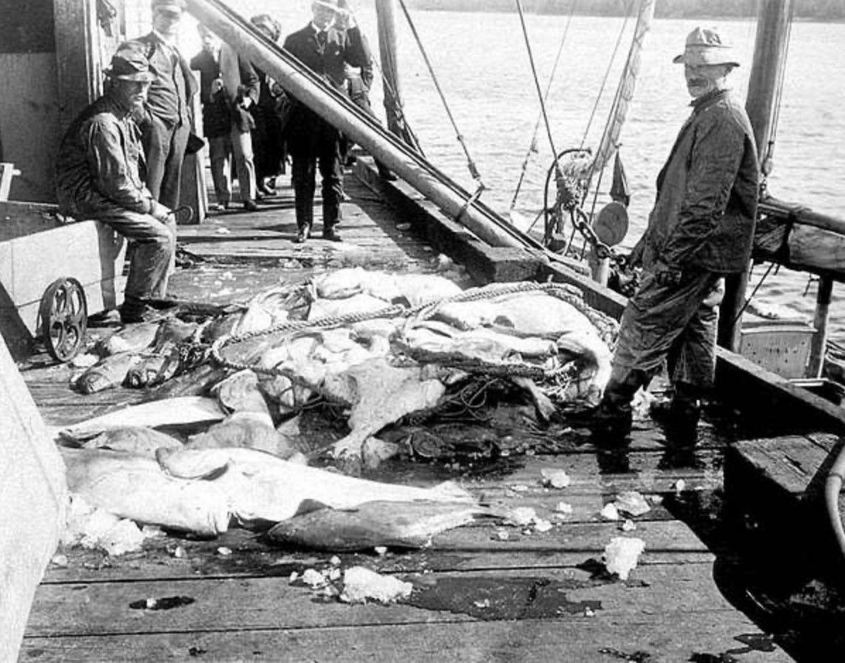 The John Batchelor Show / Joseph Sternberg details China's economic ...