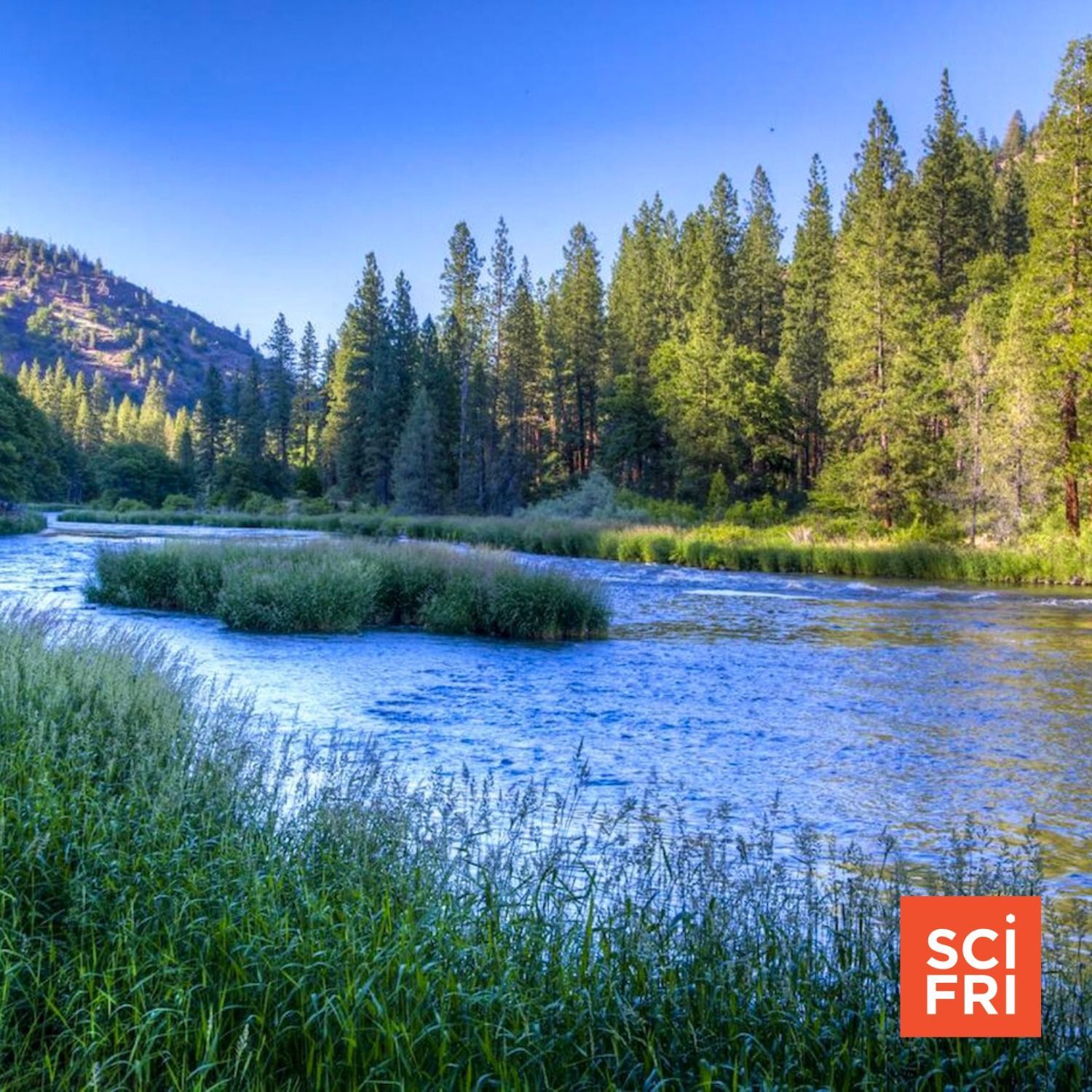 Science Friday / The Story Behind The Largest Dam Removal In U.S. History