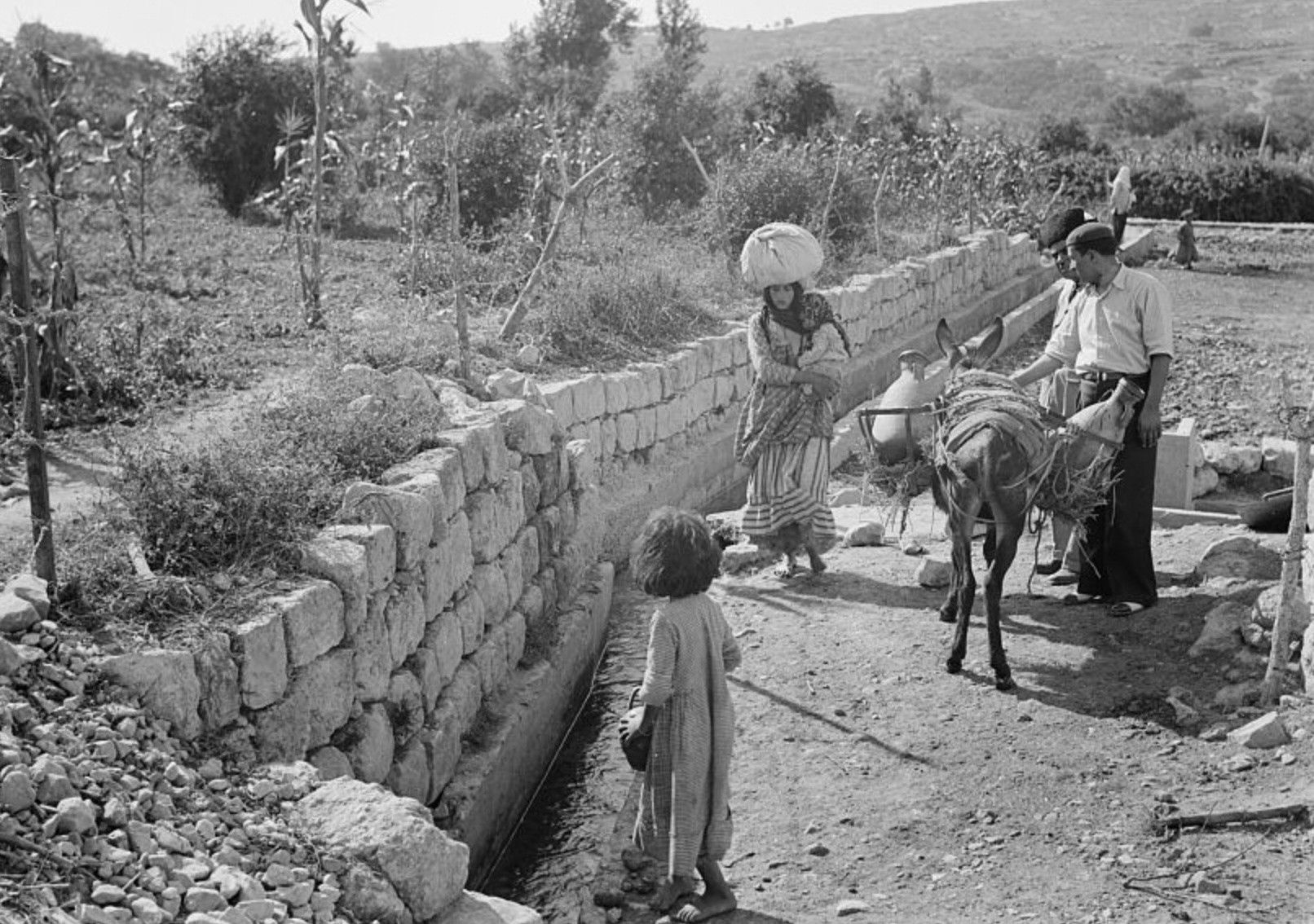 The John Batchelor Show / RECLAIMING THE HISTORICAL JEWISH FAMILY ...