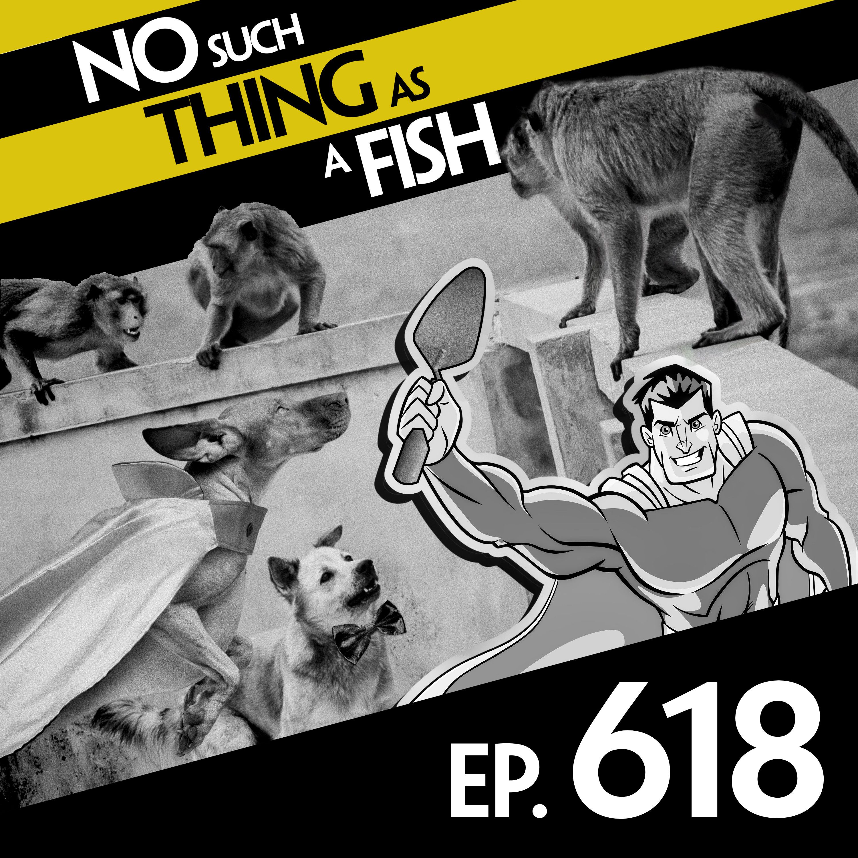 No Such Thing As A Fish / No Such Thing As Captain Crossword